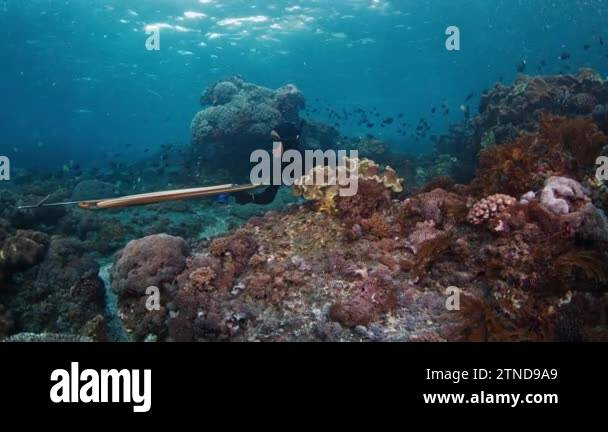 Ambush spearfishing. Man spearfishes in the sea with speargun and hides ...