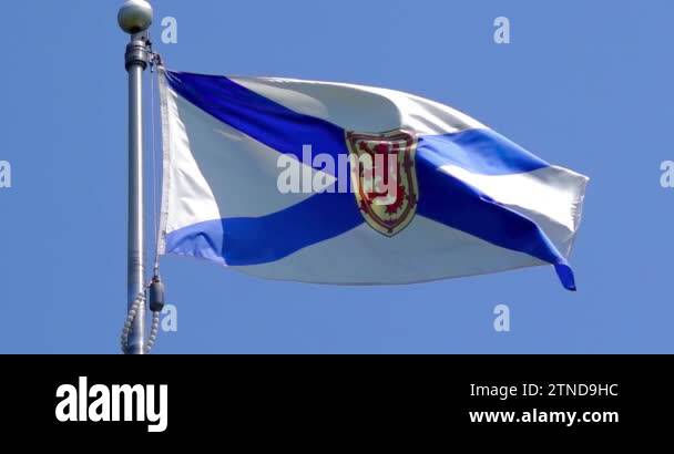 Waving the saltire Stock Videos & Footage - HD and 4K Video Clips - Alamy