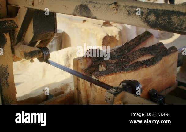 Get a close-up view of the skilled workers at the sawmill as they ...