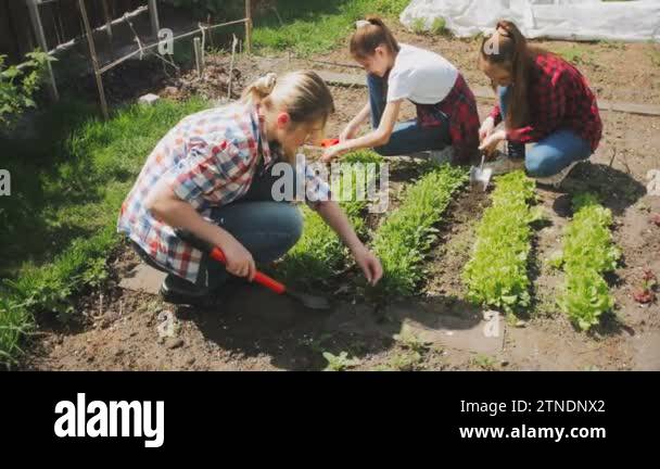 Sisters working together Stock Videos & Footage - HD and 4K Video Clips ...