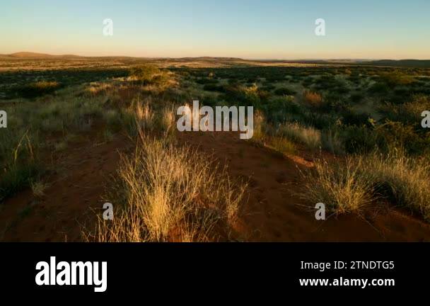 Kalahari farm Stock Videos & Footage - HD and 4K Video Clips - Alamy
