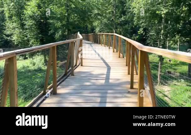 A pedestrian wooden high bridge in a mixed forest of trees on a sunny ...