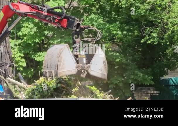 Close-up of excavator bucket work. The excavator bucket loads branches ...