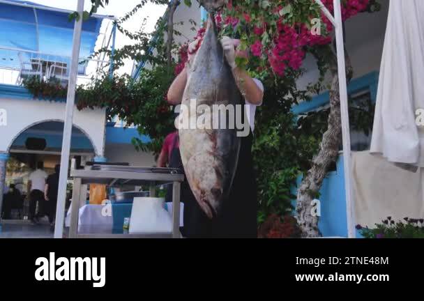 Side, Turkey - June, 20, 2023: A chef butchers a suspended large tuna ...