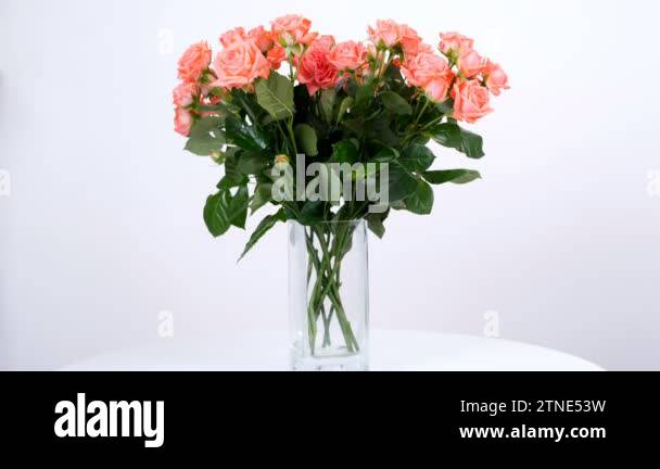 Composition ensemble Stock Videos & Footage - HD and 4K Video Clips - Alamy