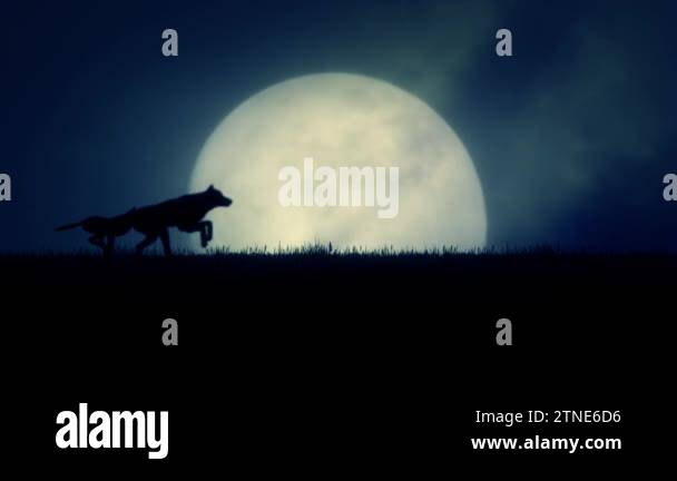 Moon dogs Stock Videos & Footage - HD and 4K Video Clips - Alamy