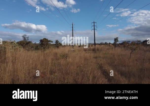 Electric power lines that are used in Brazil stretching across the ...