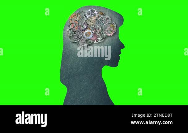 Female brain cogs gears Brain cogs gears alpha Thinking woman ...