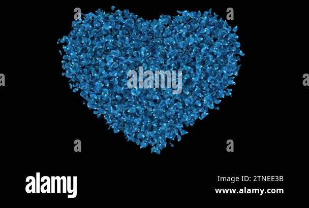 Romantic Blue Rose Flower Petals In Heart Shape Alpha Matte Loop 4k ...