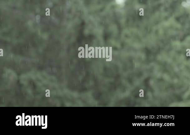 4k Loop Rain Drops Falling Alpha, Real Rain, High quality, Slow Rain ...