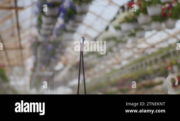 Spraying water from sprinkler Stock Videos & Footage - HD and 4K Video ...