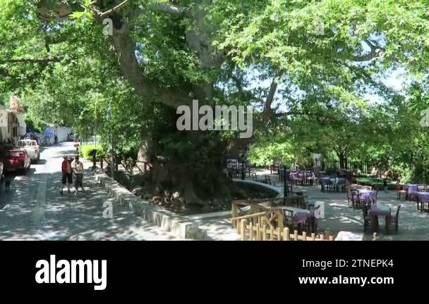 Over 2000 Stock Videos & Footage - HD and 4K Video Clips - Alamy