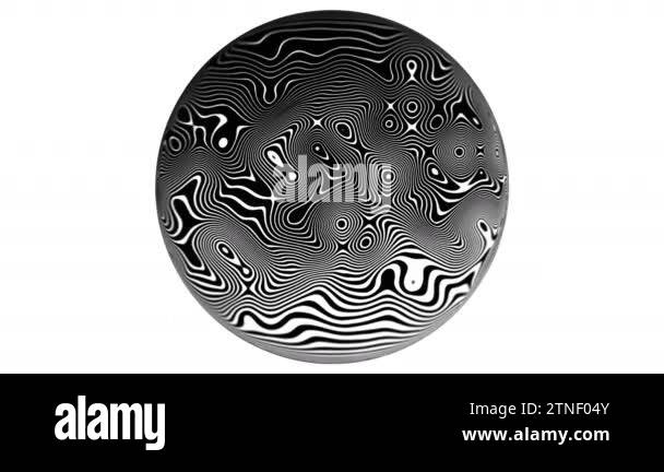 Zebra Line pattern Movement Animation Background. 4k. On a white ...