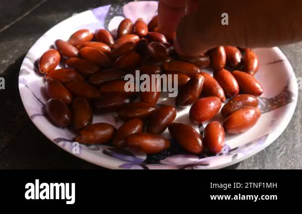 Date palm fruits. Its other names Phoenix dactylifera. Itis a flowering ...