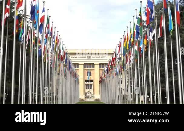 Unog Stock Videos & Footage - HD and 4K Video Clips - Alamy