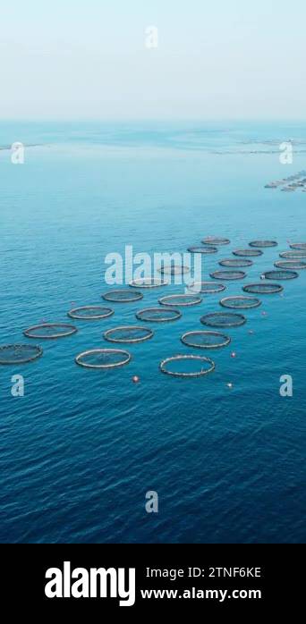Offshore fish farming Stock Videos & Footage - HD and 4K Video Clips ...