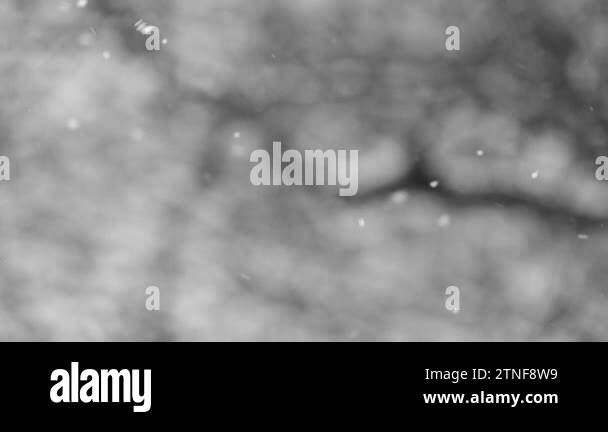 winter and its natural phenomena, slow movement of snow, daytime ...