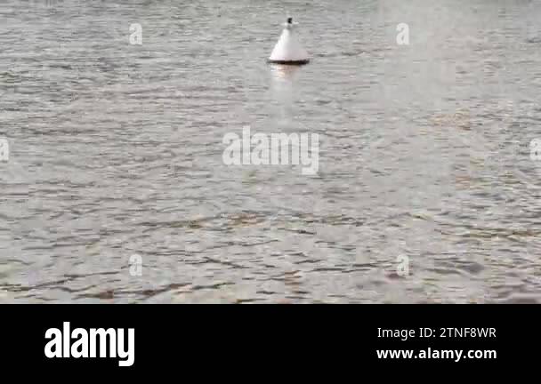 On floating bodies Stock Videos & Footage - HD and 4K Video Clips - Alamy