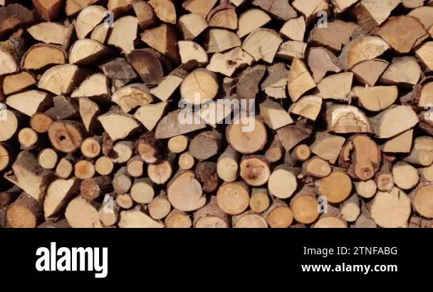 Bark shed texture pattern trunk Stock Videos & Footage - HD and 4K ...