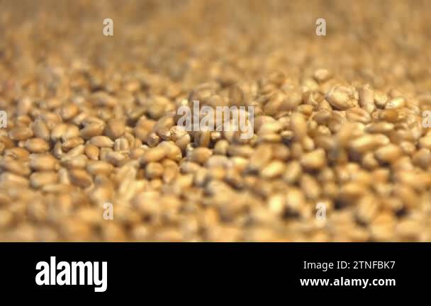 Horizontal horizontals Stock Videos & Footage - HD and 4K Video Clips ...