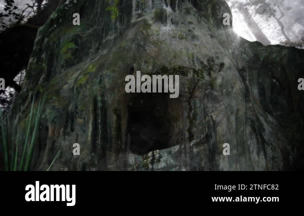 Creepy flying insects Stock Videos & Footage - HD and 4K Video Clips ...