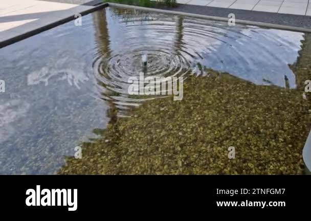 calm surface of a pond with a fountain making a calm effect of water ...