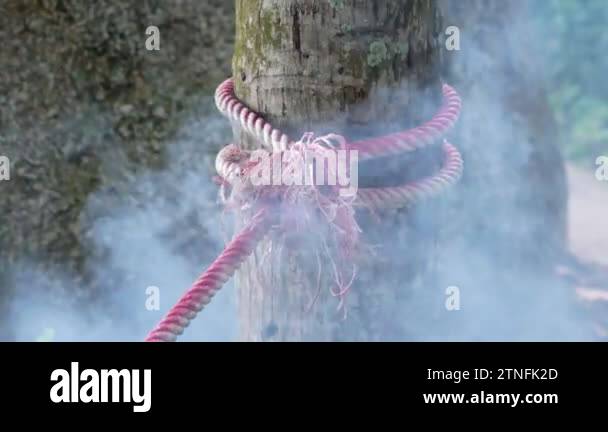 Rope burn Stock Videos & Footage - HD and 4K Video Clips - Alamy