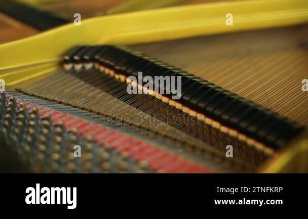 Grand piano bridge pins Stock Videos & Footage - HD and 4K Video Clips ...