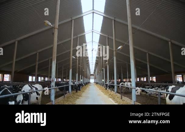Complex farm Stock Videos & Footage - HD and 4K Video Clips - Alamy