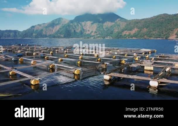 Constructions on a fish farm, square cages for fish in production. A ...