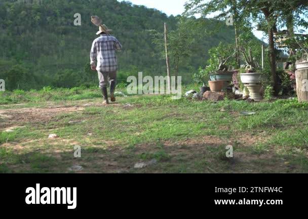 man adult farmer looking at plantation field farmer rural farmer back ...