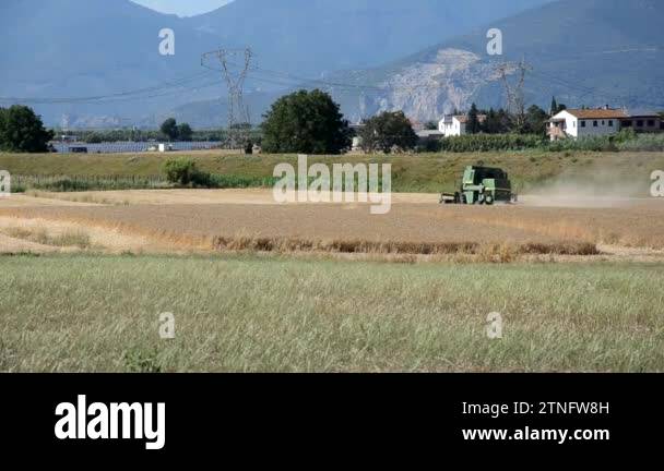 Winnowing barley Stock Videos & Footage - HD and 4K Video Clips - Alamy