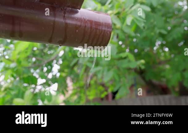Gutter system and roof protection on house construction. Holder gutter ...