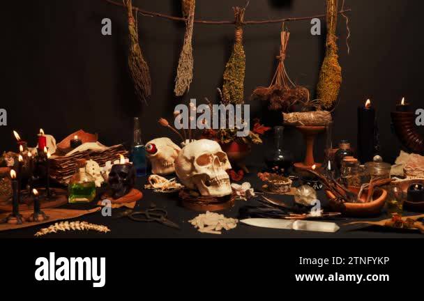 Dry bones Stock Videos & Footage - HD and 4K Video Clips - Alamy