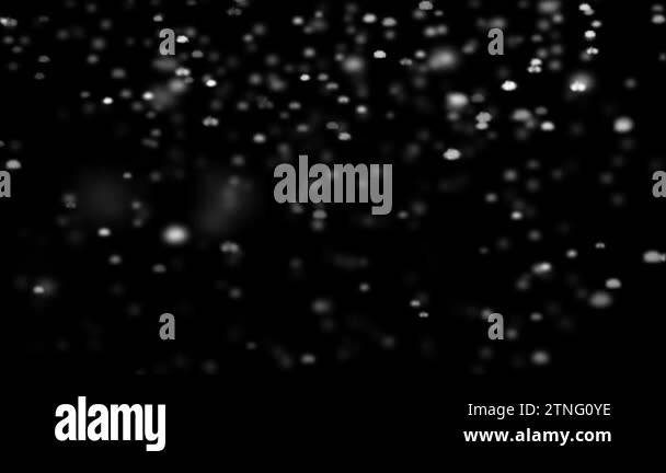 snowfall overlay, black background - winter, slowly falling snow effect ...