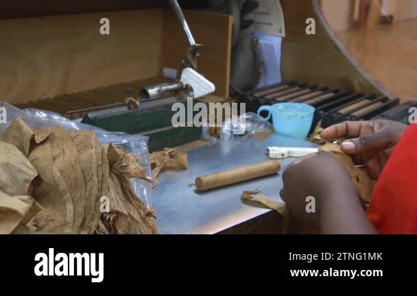 Workers cigar factory Stock Videos & Footage - HD and 4K Video Clips ...