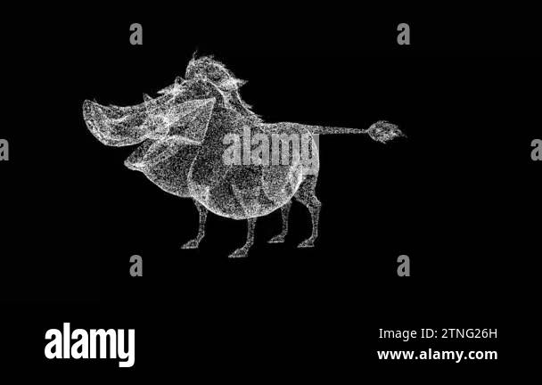 3D wild boar warthog rotates on black bg. Wild animals concept ...