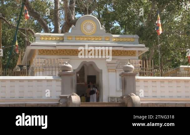 Sri maha bodhi in sri lanka Stock Videos & Footage - HD and 4K Video ...