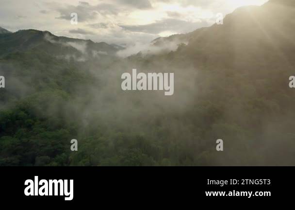 A breathtaking aerial scenery of lush green tropical rainforest ...