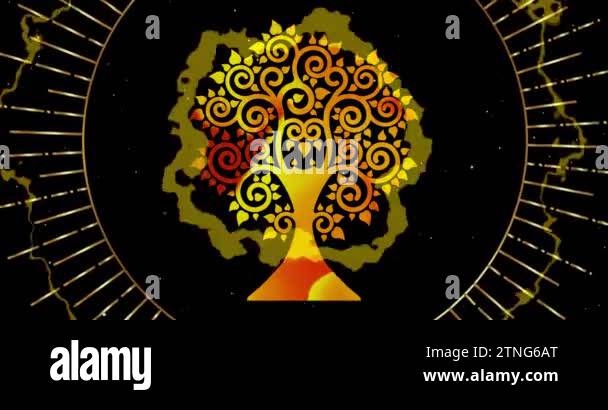 The tree of philosophy Stock Videos & Footage - HD and 4K Video Clips ...