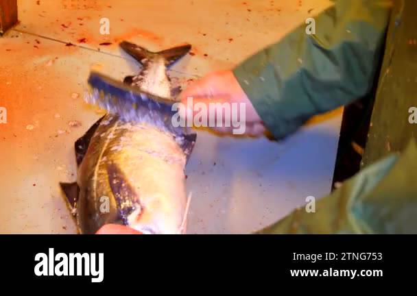 Wire removal Stock Videos & Footage - HD and 4K Video Clips - Alamy