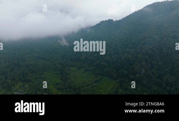 Jungle ravine trees Stock Videos & Footage - HD and 4K Video Clips - Alamy