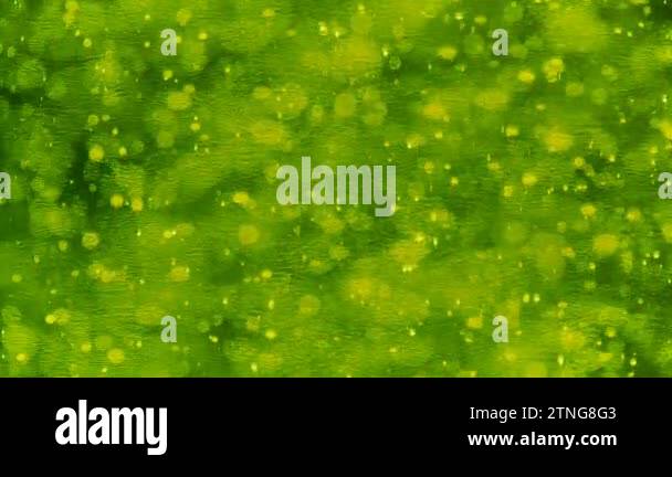 Abstract green background moving particles Stock Videos & Footage - HD ...