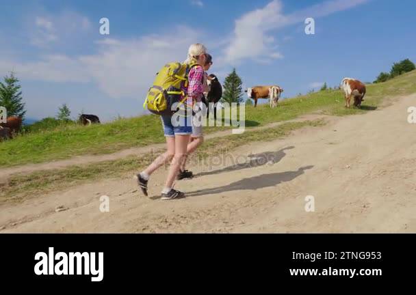 Truism Stock Videos & Footage - HD and 4K Video Clips - Alamy