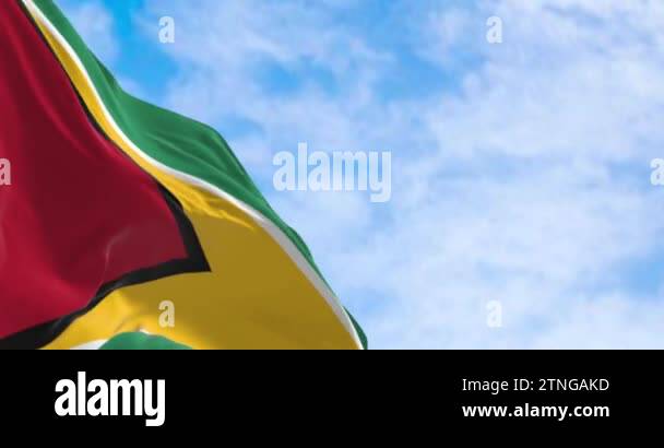 Close-up view of Guyana national flag waving in the wind. Green field ...