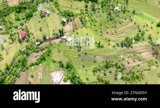 Rice fields in cebu Stock Videos & Footage - HD and 4K Video Clips - Alamy