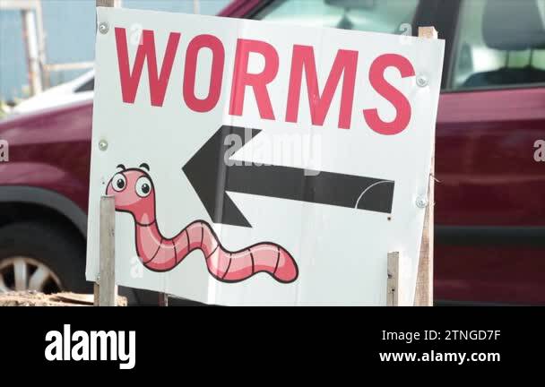 Arrow worms Stock Videos & Footage - HD and 4K Video Clips - Alamy