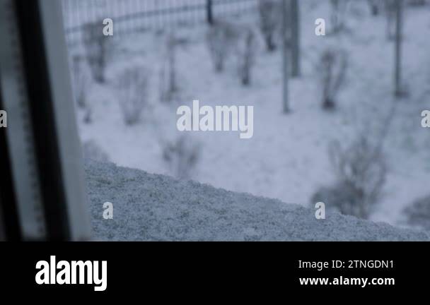 Extreme Falling snow between trees during heavy snowfall in winter city ...