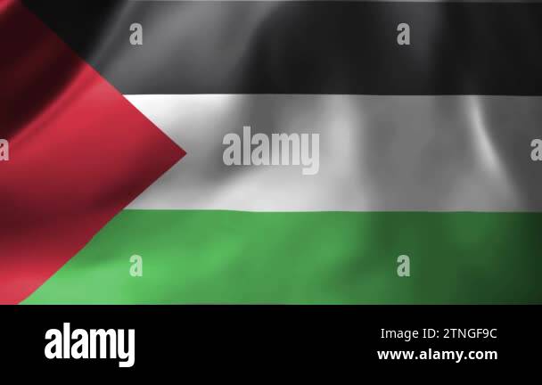 Gaza national flag Stock Videos & Footage - HD and 4K Video Clips - Alamy