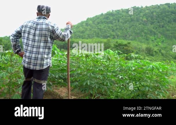 Male, adult, farmer, walking holding a shovel, looking after the farm ...